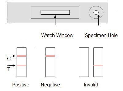 CE Certificate IVD Cardiac marker MYO/cTnI Troponin I / CK-MB 3 in 1 Rapid test panel