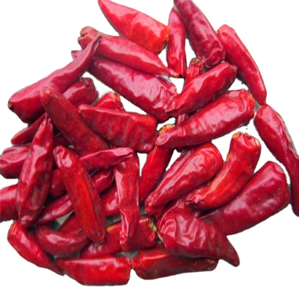 Génération 1 de Xinyidai de petit prix de Chaotian de piments de piments secs acaules de haute qualité de balle nouvelle