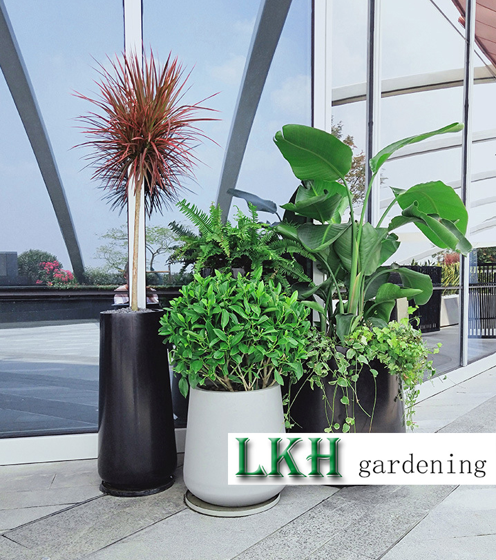 round series customized stainless steel planter set for shopping mall decorate 0