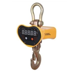 Electronic Hanging Scale