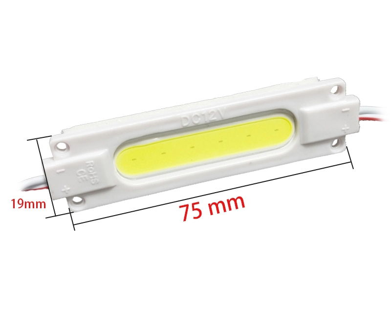 COB LED Module light