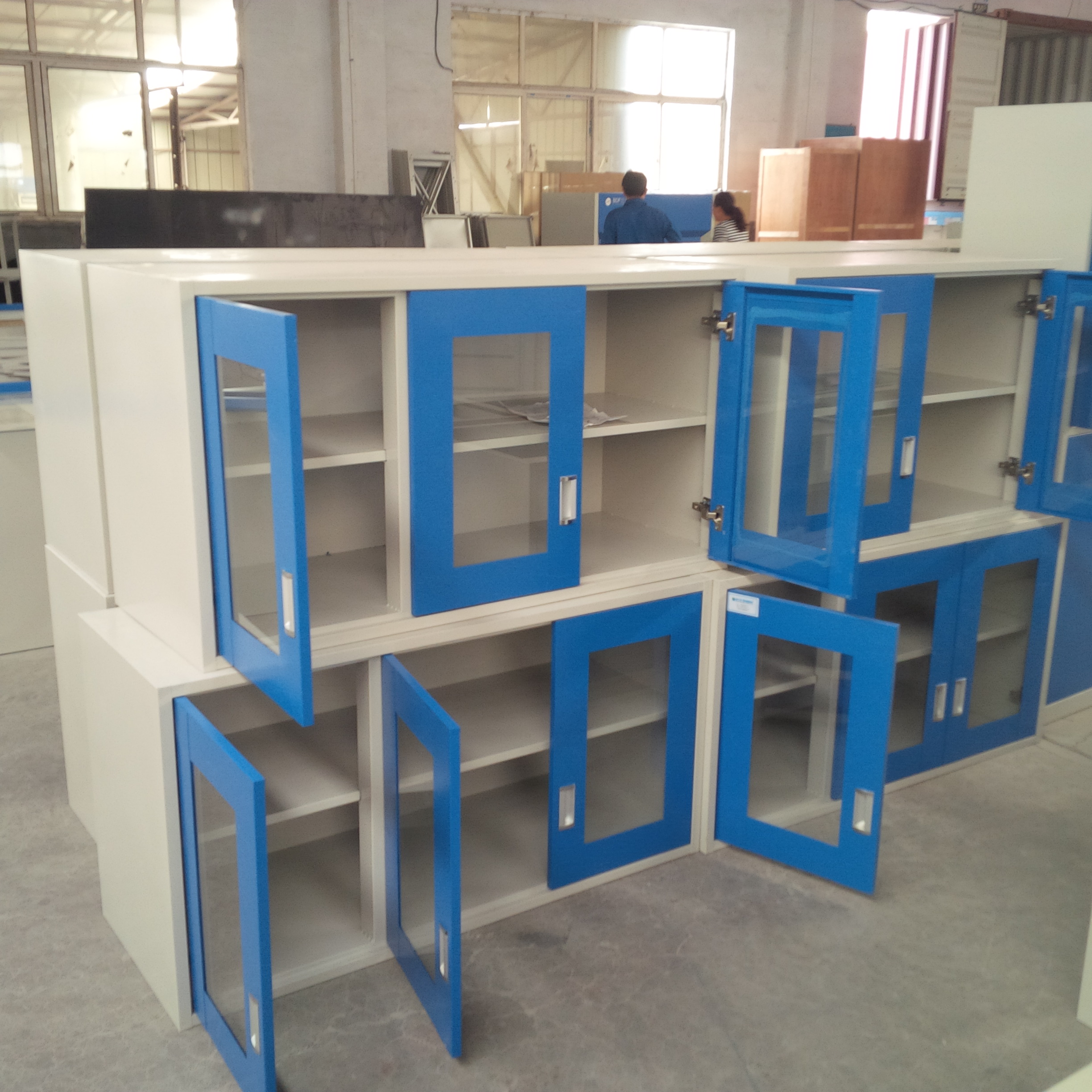 Laboratory Hanging Cabinet Lab Storage Cabinet with CE Wall Cupboard Steel Wall Cabinet for Lab School Office Home Use