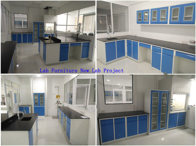 Lab Storage Cabinet Sample Cupboard Laboratory Hospital Use Galvanized Xuechenglab Steel Cabinet for Sample