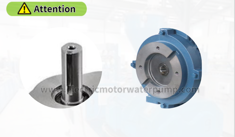 hydraulic motor