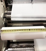 película de pegamentos caliente del derretimiento del PO del grueso de 0.12m m para el fabricante chino 12 de los accesorios de la ropa