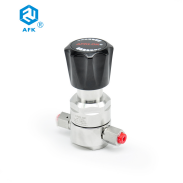 latest company news about How many holes are there in the R11 series pressure regulator?  1